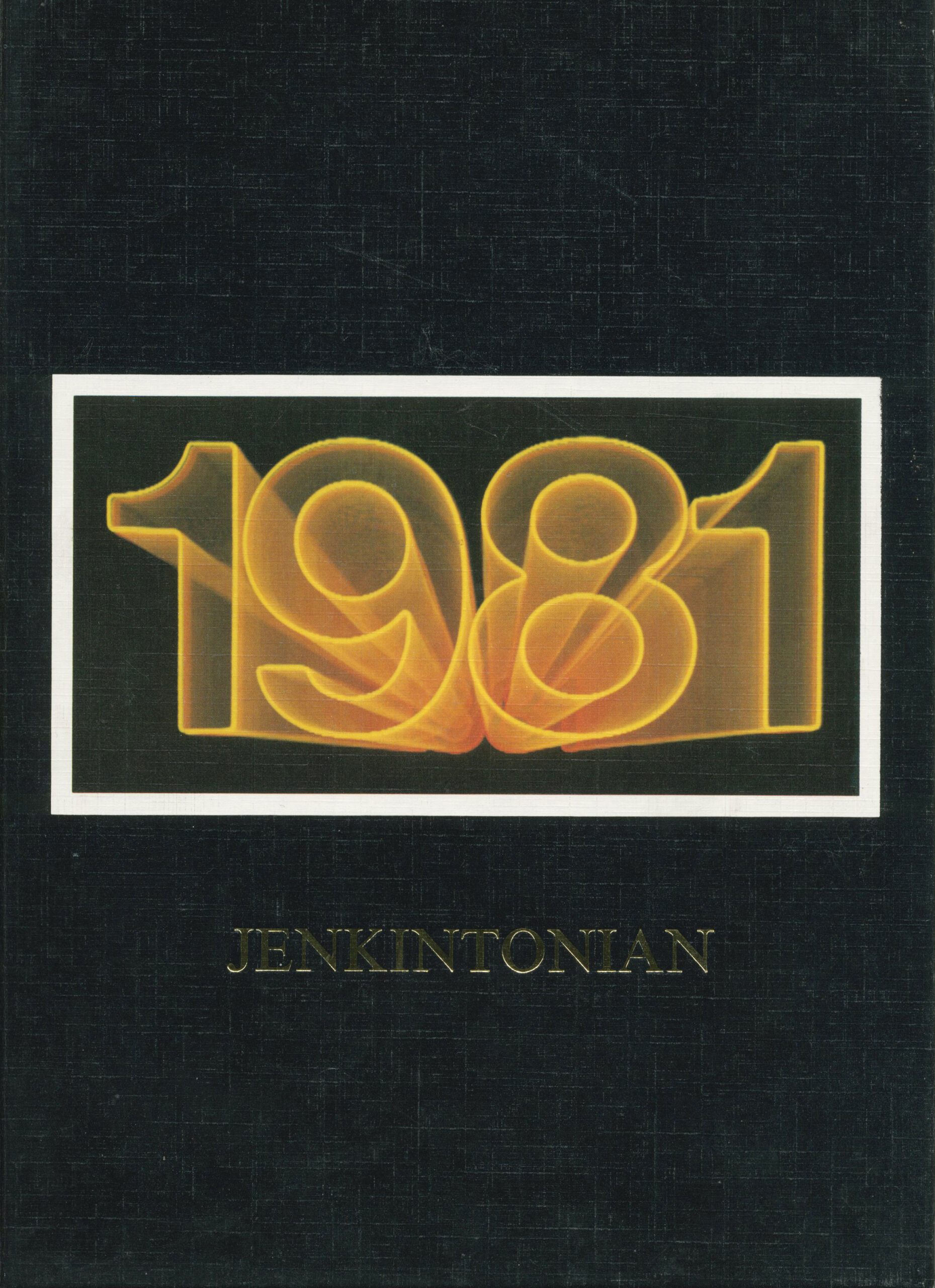High School Yearbook 1981